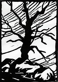 Exhibit of Everett Ruess Prints Now at USU's Merrill-Cazier Library