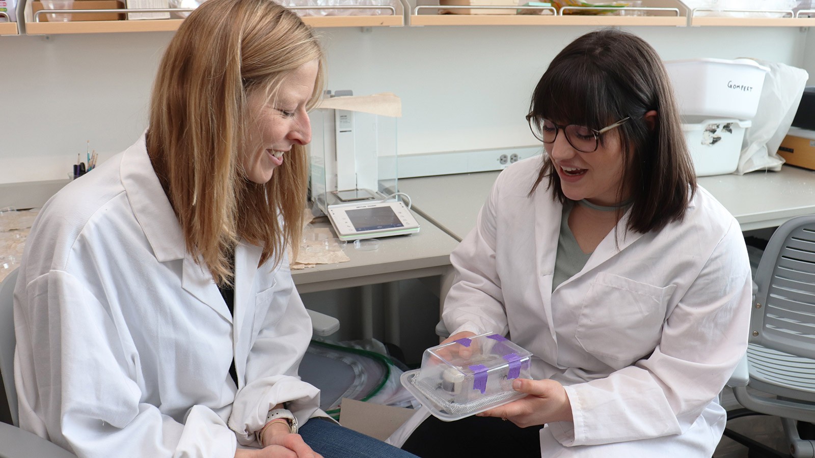 Not Junk: USU Biologist Explores Small Non-Coding RNA in Bumble Bees